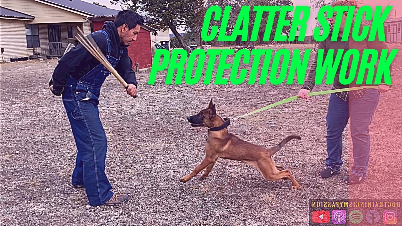 Clatter Stick Work. Protection Training - YouTube