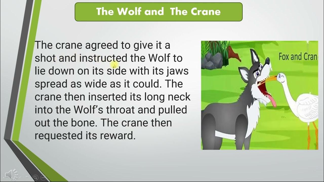 The Wolf and The Crane A short Moral Story - YouTube
