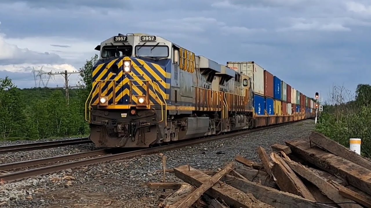 Long CN Double Stack Train Passing By With Speed Restriction - YouTube