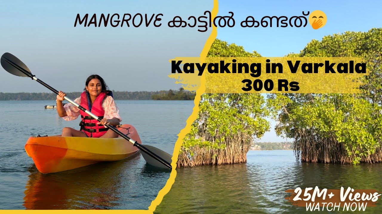 Biggest & Best Mangrove forest kayaking | Adventures-Varkala | Mangrove ...