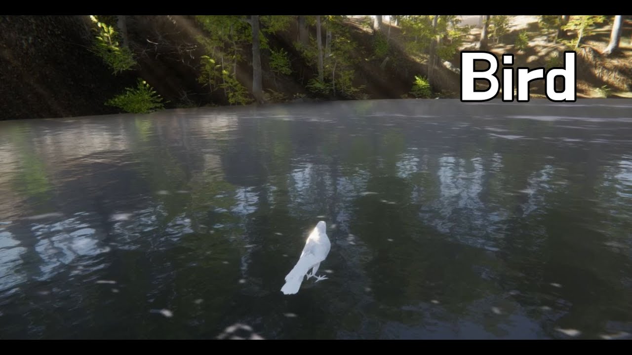 자연속에서 새가 되어보는 게임 Bird [스팀 게임 리뷰] - YouTube