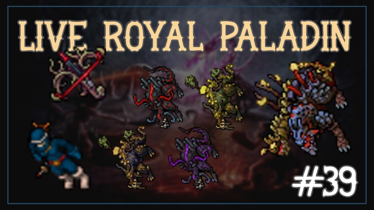 TIBIA RP 1.2K+ | ROTTEN BLOOD | #38 - YouTube