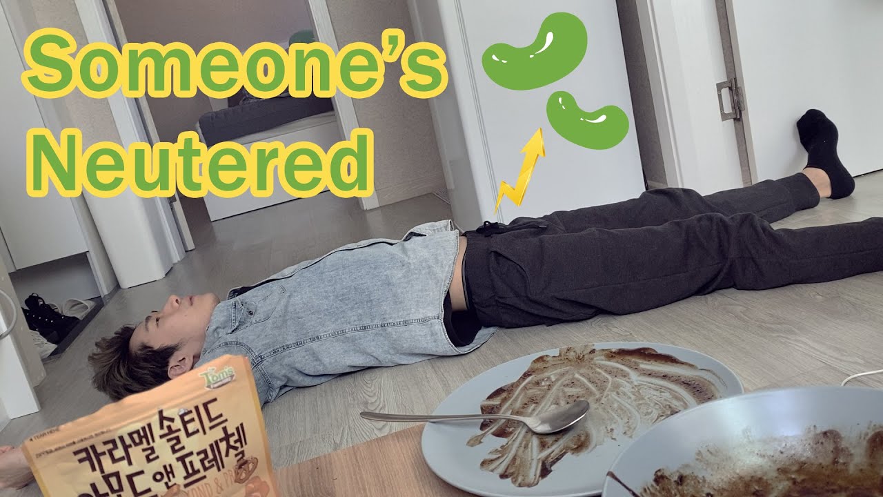 BEAN REMOVAL | daily life vlog | AMWF International Couple | 국제 커플 ...