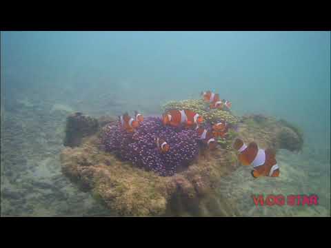 Taman Nemo pulau Untung Jawa - YouTube