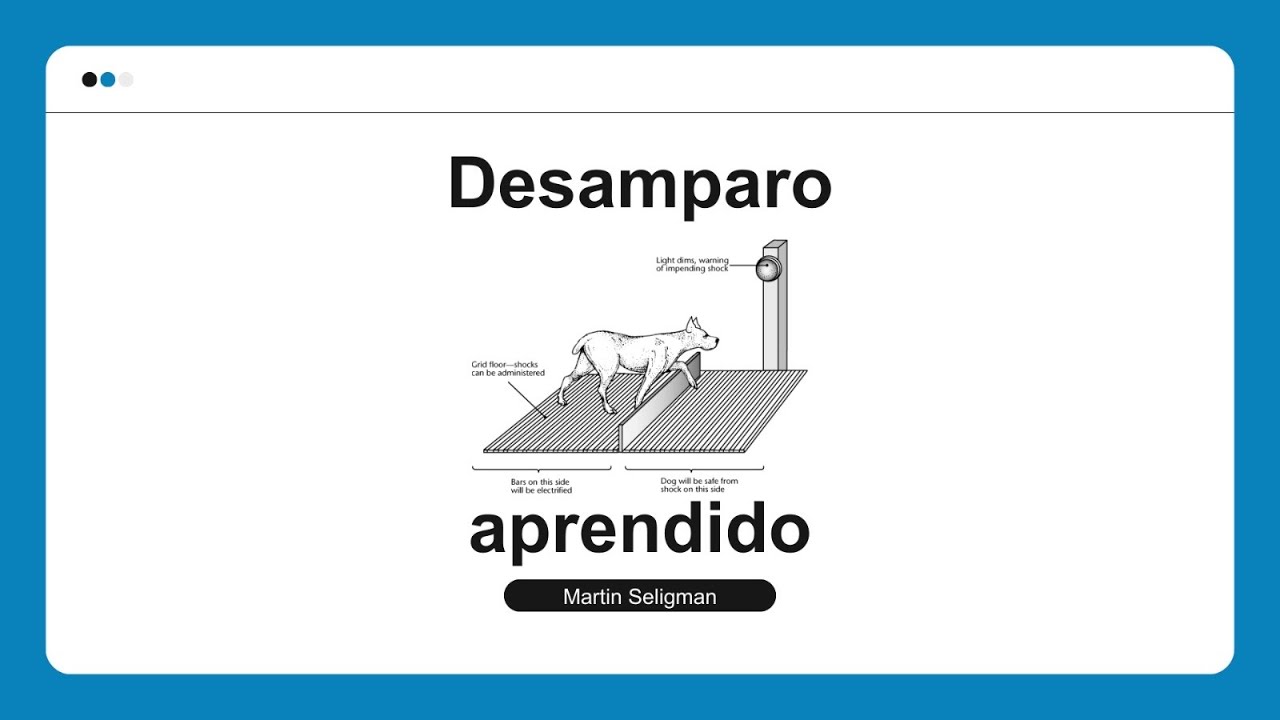 Desamparo Aprendido - Martin Seligman - YouTube