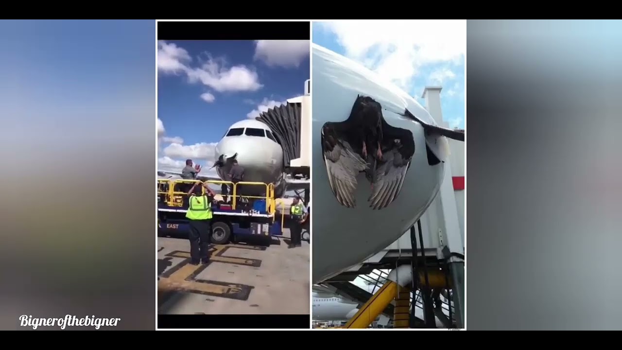 Aviation Scenes - Flight "Crash scene" - YouTube