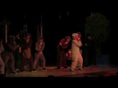 Panto 2017: Animal Dancers - YouTube