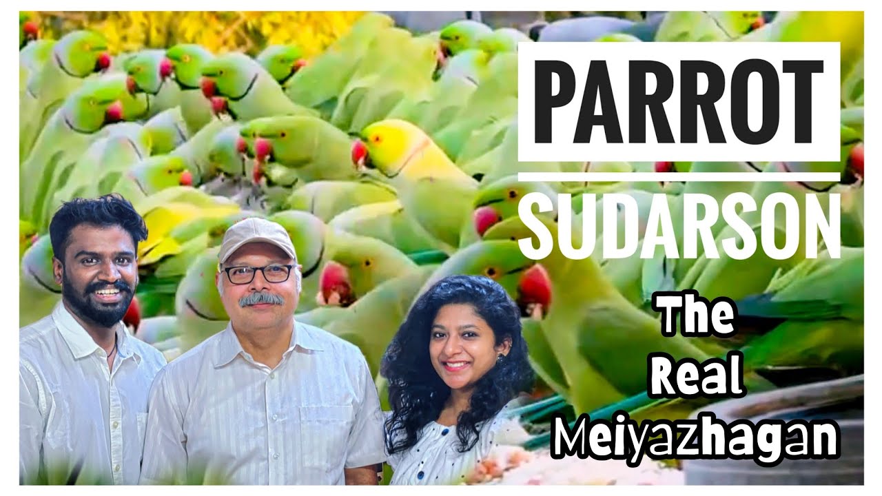 The Real Meiyazhagan Parrot Sudarson | Birdman of Chennai | Explore ...