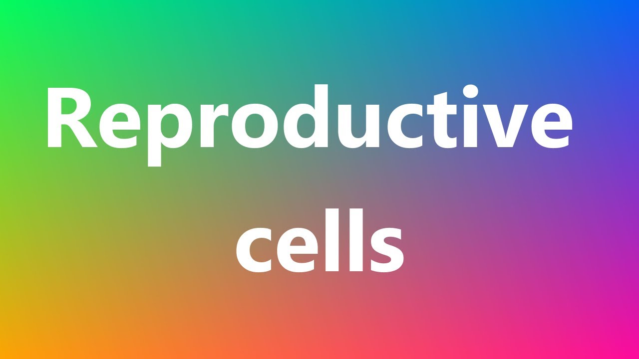 Reproductive cells - Medical Definition and Pronunciation - YouTube