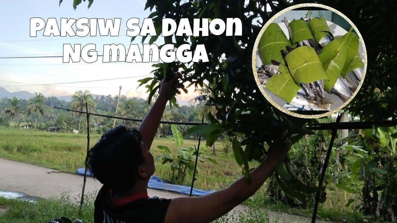 Paksiw na Isda sa Dahon Ng Mangga|@theflorhanz3488 - YouTube