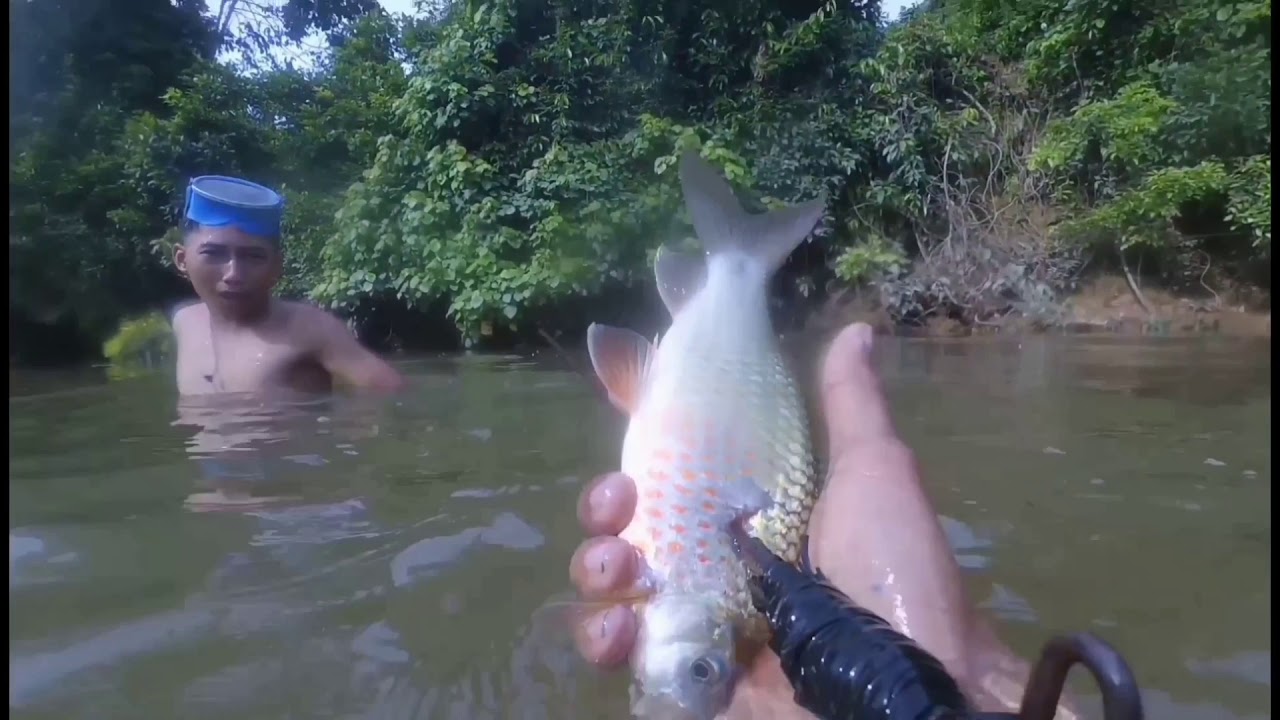 looking for fish in the river - YouTube
