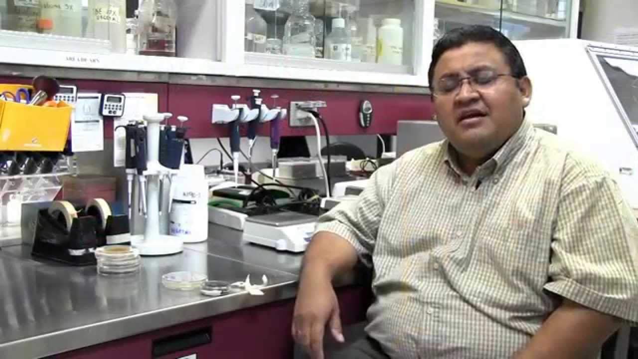 Netzahualcóyotl Mayek - YouTube