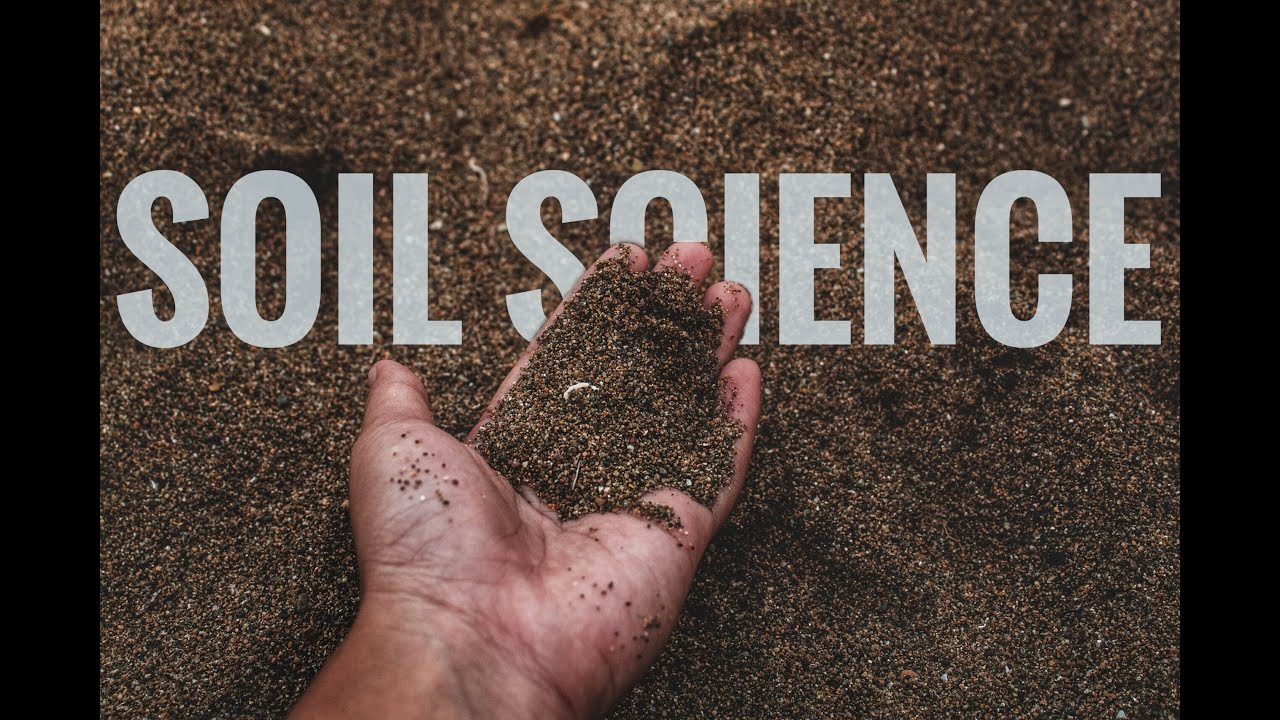 Soil definition - Soil as a three dimensional natural body, Pedological ...