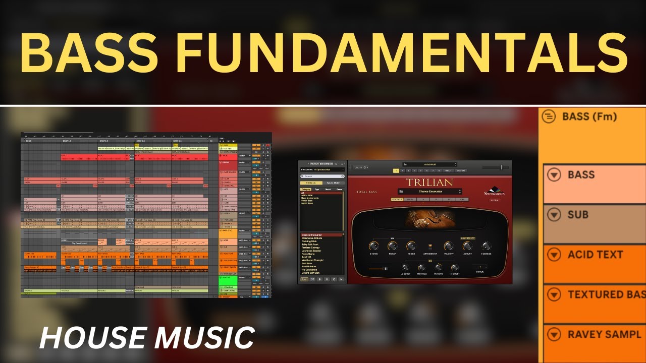 House Music Bass Essentials - YouTube