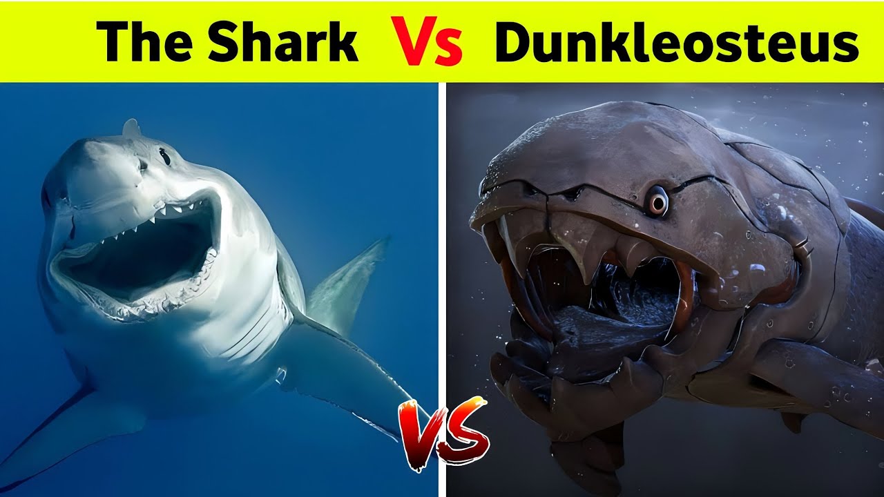 Dunkleosteus Size Comparison Dunkleosteus – Allosaurus Roar