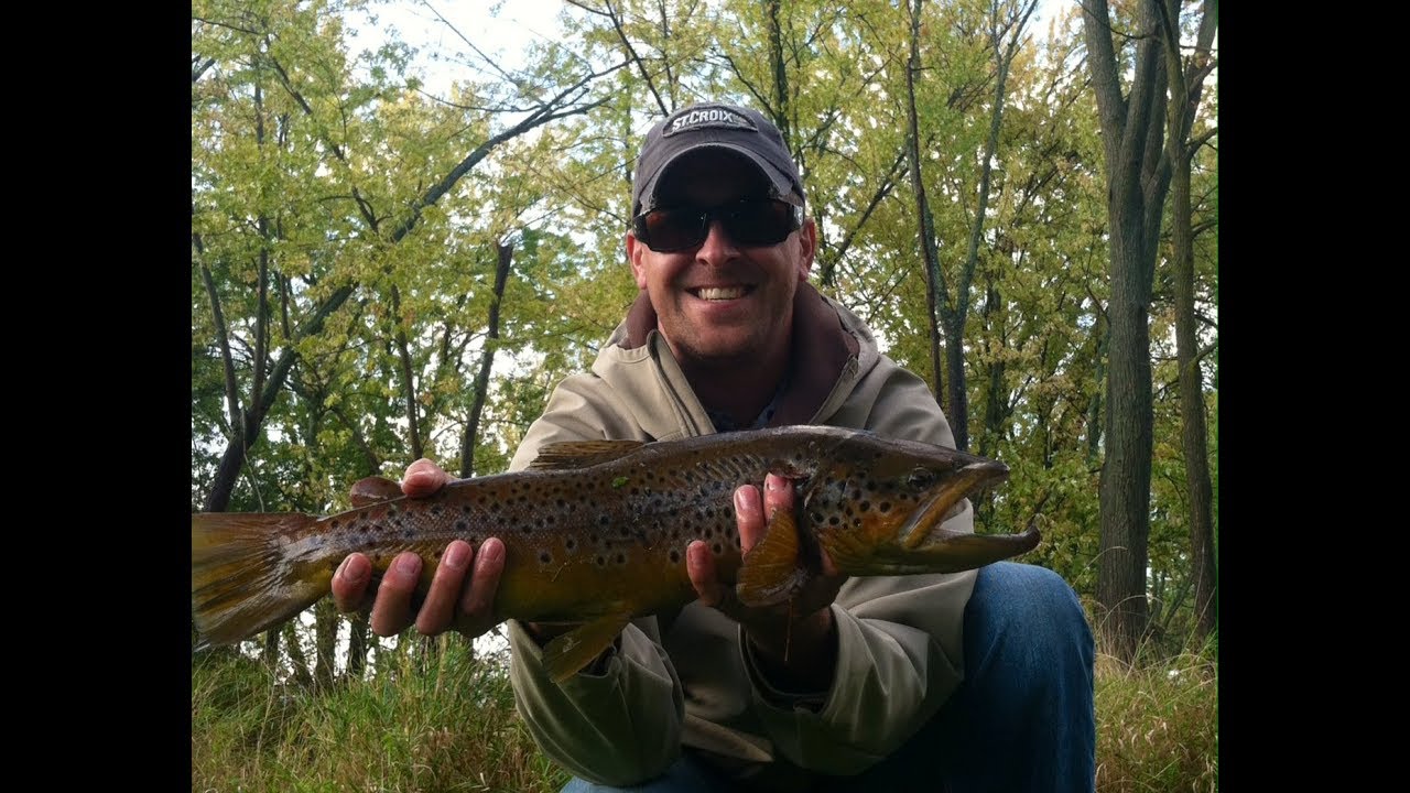 Huge 22 Inch Brown Trout from Portage Creek! - YouTube