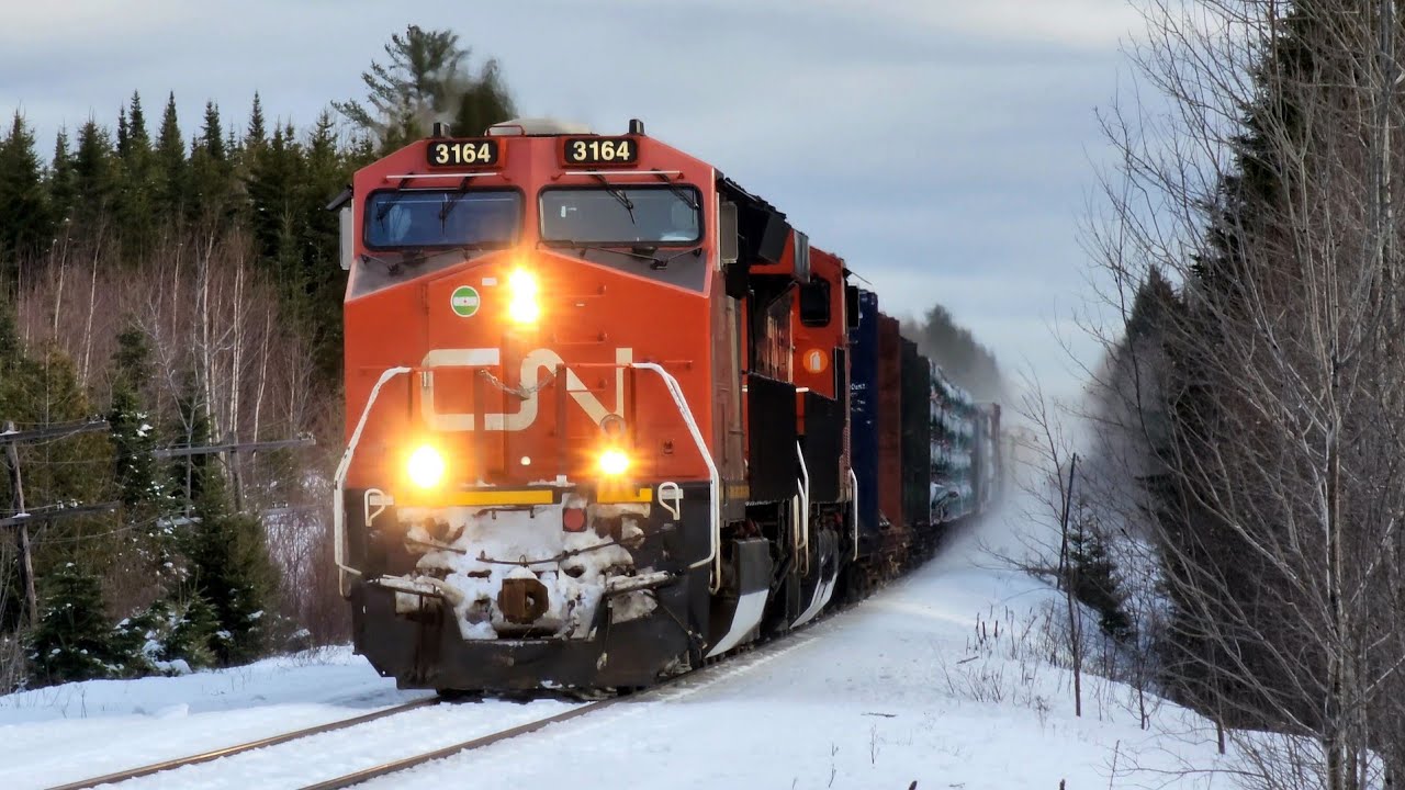 Winter Train! 56 MPH Train Cruises Through The Forests of Canada! - YouTube