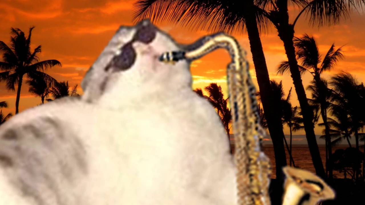 epic sax cat - YouTube