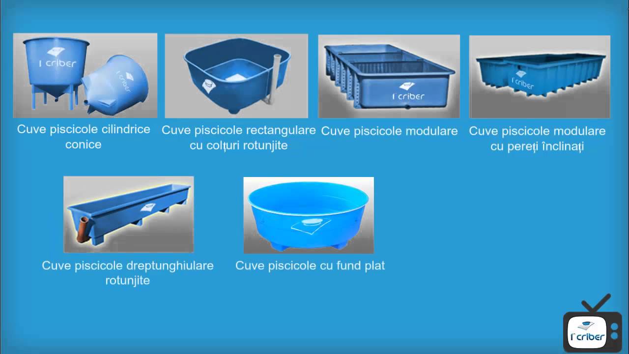 Cuve piscicole - YouTube