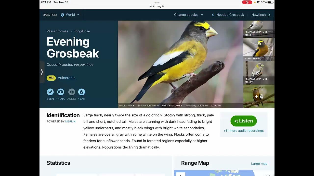 15 Ways to Use eBird Beau Schaefer - YouTube