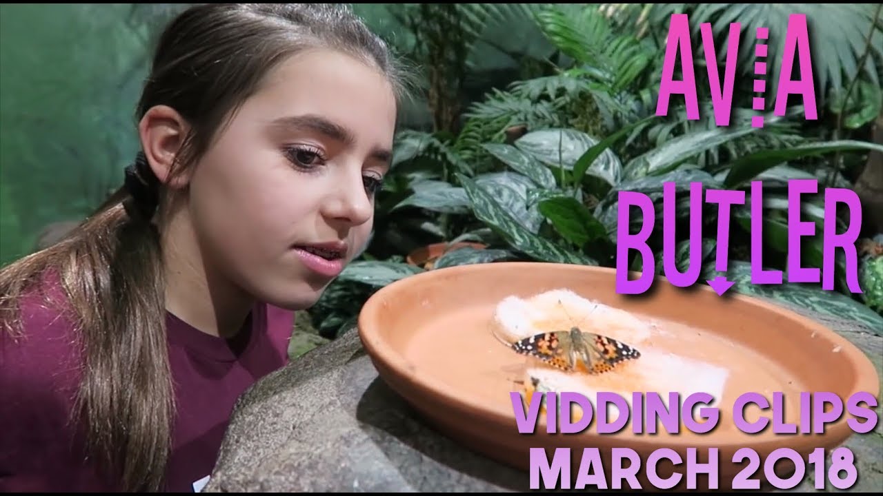 Avia Butler||Vidding Clips||March 2018 - YouTube