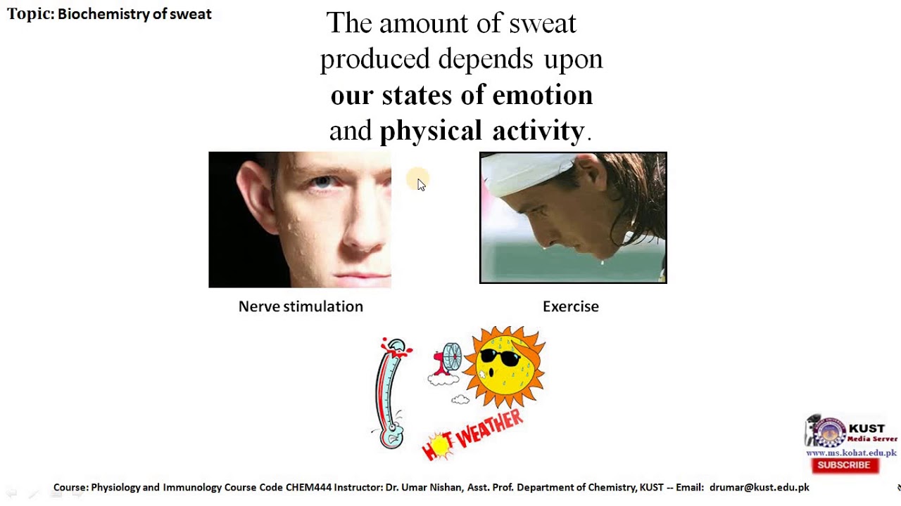 FACULTY 326 CHEM444 KUST20201 L04 P1 Biochemistry of sweat - YouTube
