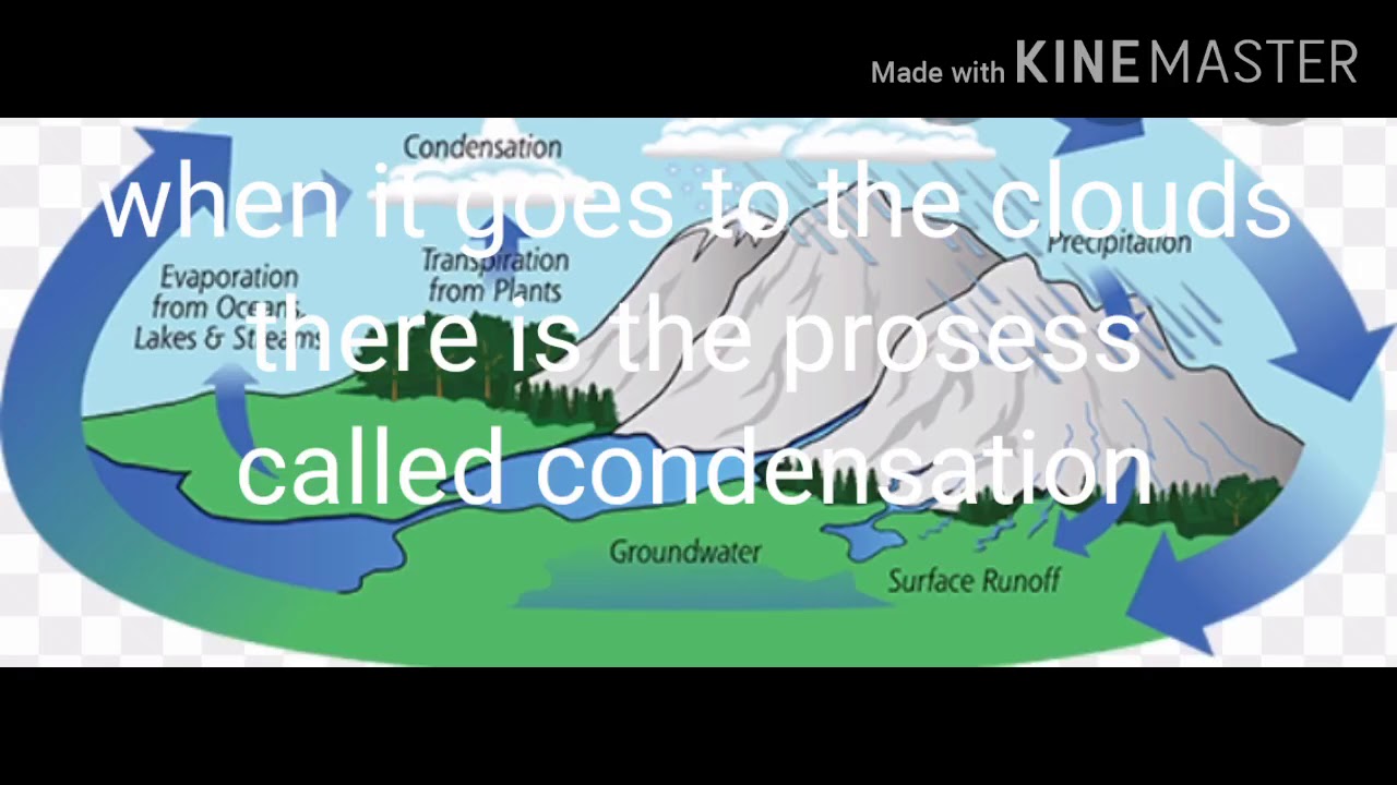 Water cycle - YouTube