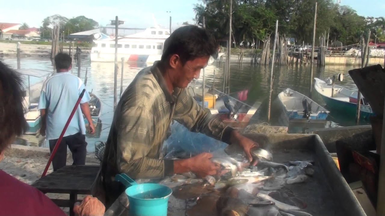 Kampong Nelayan (Fishing Village) Mersing Johor, Malaysia! - YouTube