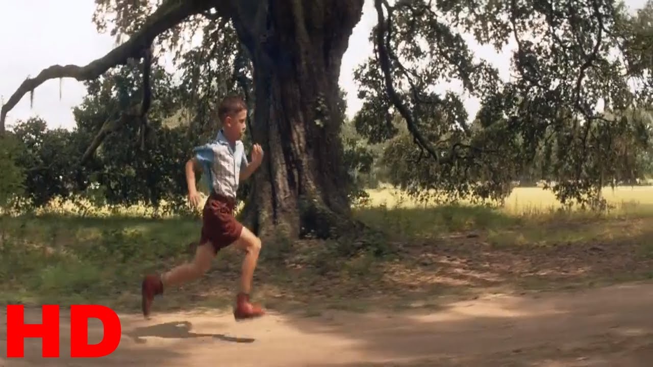 Forrest Gump - Run Forrest Run. - YouTube