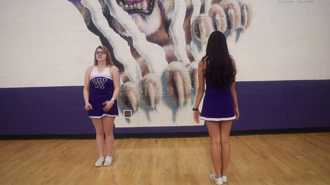 GO CATS GO - YouTube