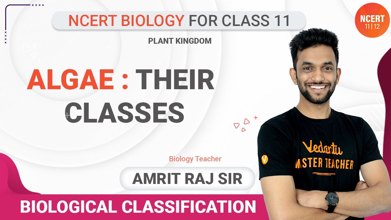 Plant Kingdom (L-2) | Algae: Their Classes | Biology By AmritRaj Sir ...