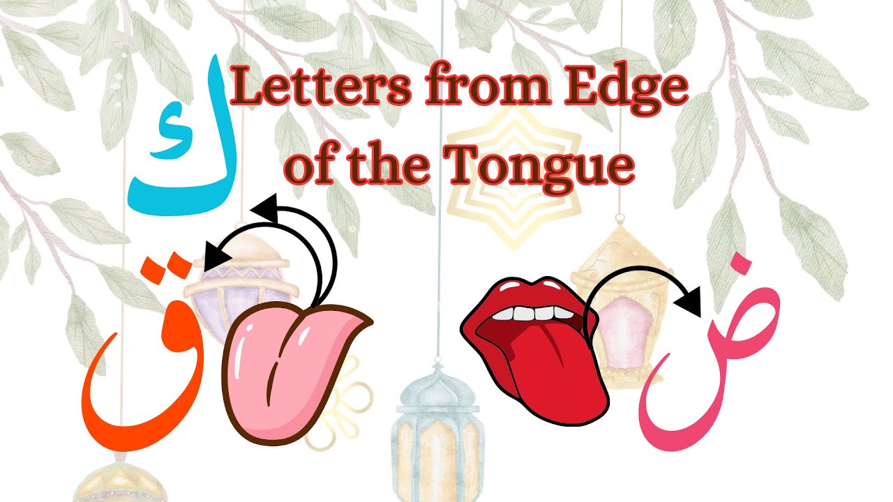Quranic Tajweed, Makhraj Al Huruf Al Lisan, Arabic Letters from Edges ...