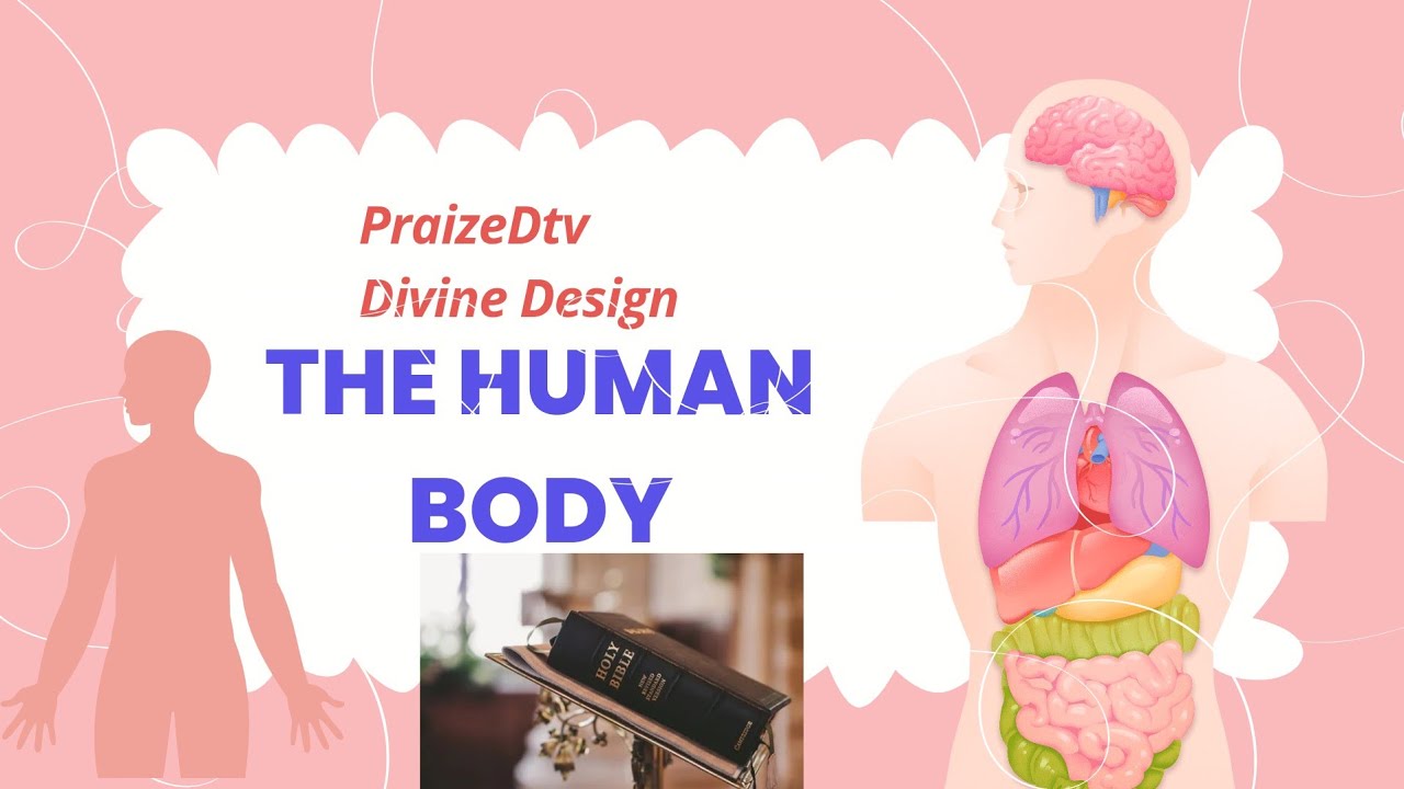 The Human Body in the Bible : Divine Design - YouTube