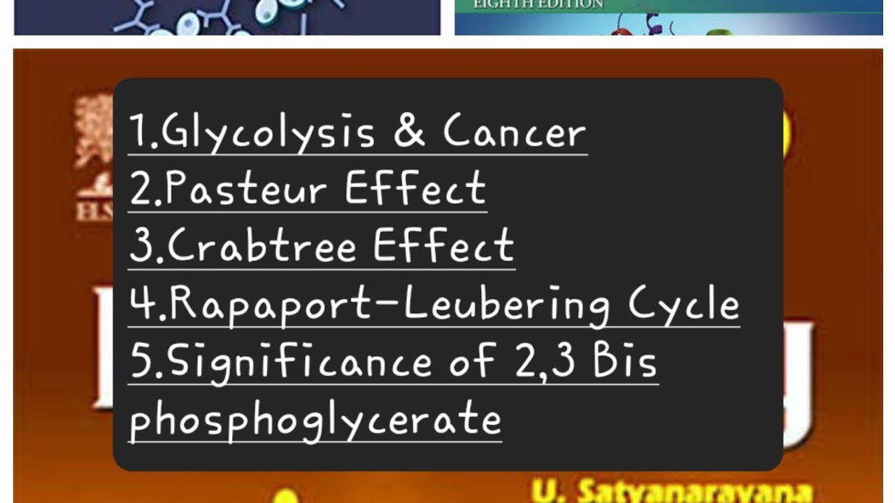 Glycolysis and Cancer/Pasteur Effect/Crabtree Effect/Rapaport Leubering ...