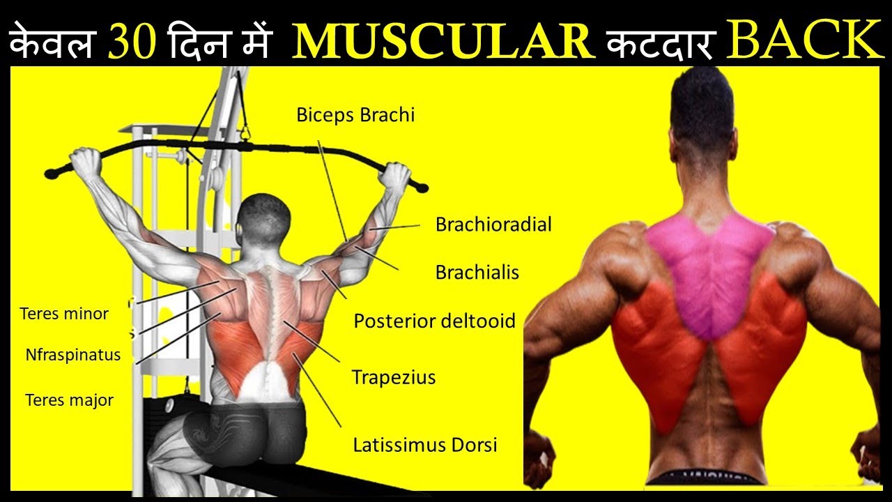 Rapid Excercise || 5 Exercises To Build A Big Back || Lats sides and ...
