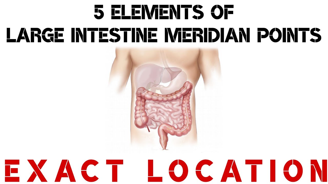 5 Elements of Large Intestine Meridian | Exact Location - YouTube