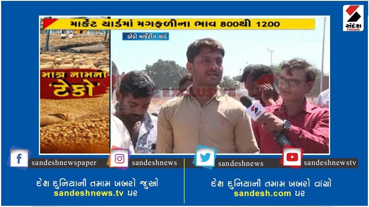 Rajkot: Farmers' response to government support prices ॥ Sandesh News ...