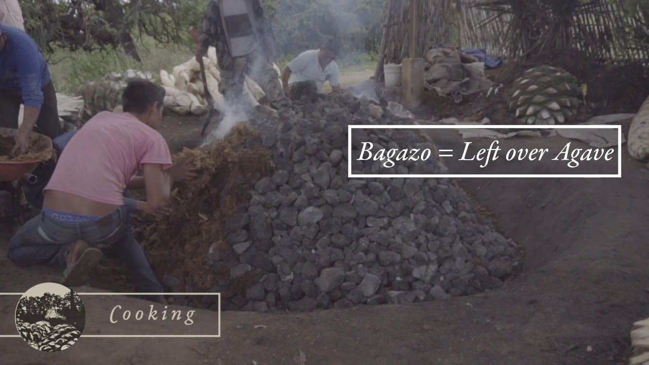 Artisanal Mezcal Process Part II - Cooking in the Earth Oven - YouTube
