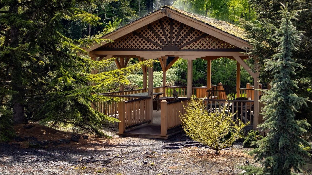 Buchholz Garden Tour! Maples, Conifers & Ponds - YouTube