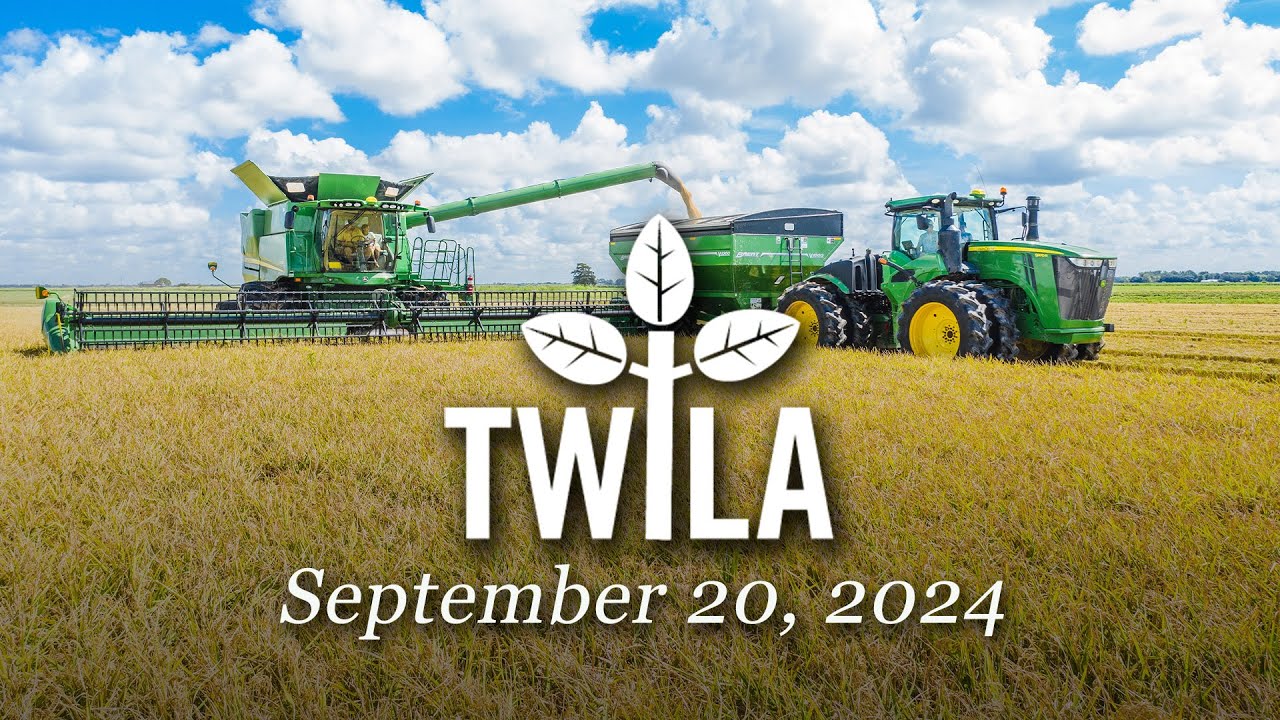 TWILA — September 20, 2024 - YouTube