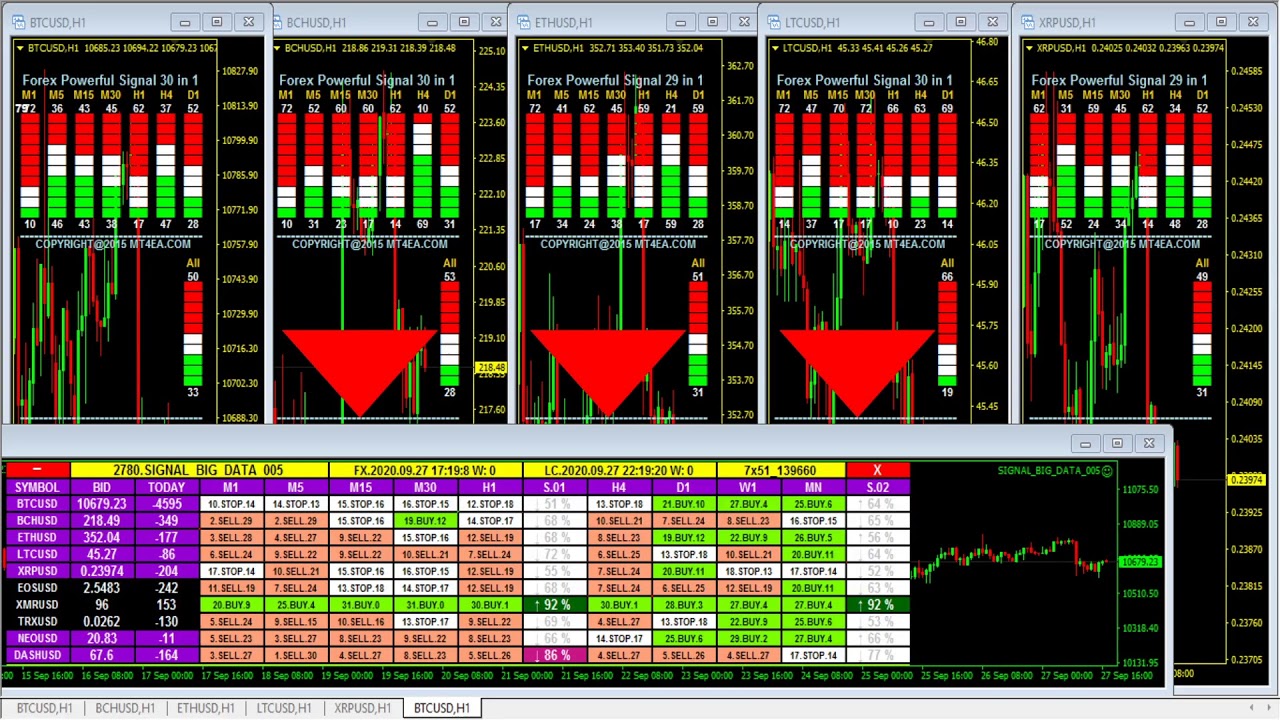 Live Bitcoin Analysis Dashboard - Ripple Ethereum Litecoin Dash - YouTube