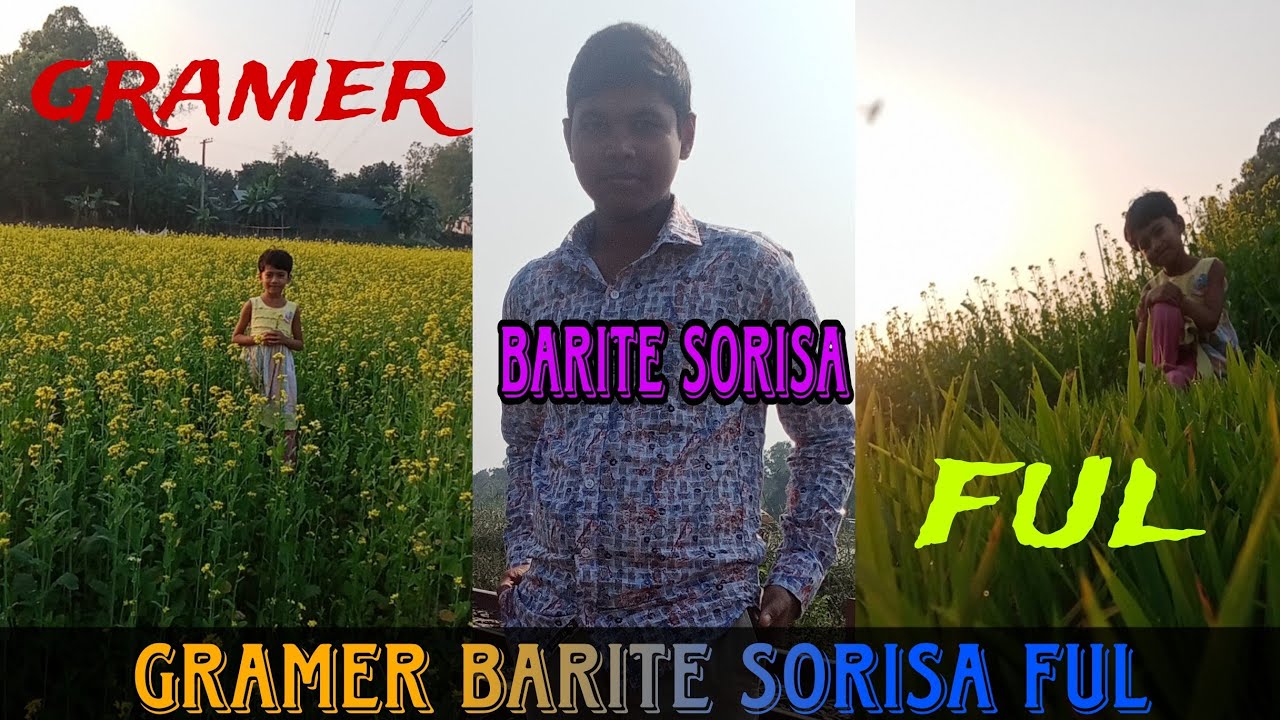Gramer Barite Sorisa Flowers🥀🥀🌾🌾 - YouTube