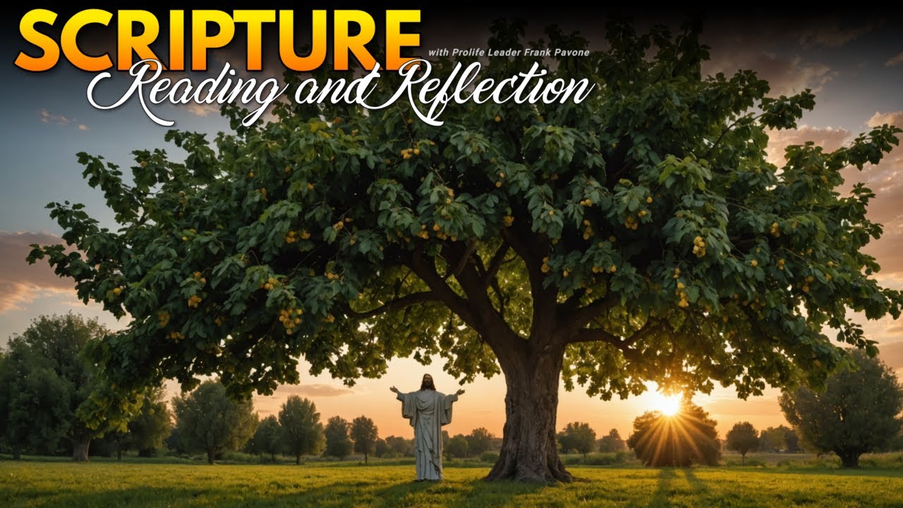 Daily Scripture Reading and Reflection: Go Uproot Some Mulberry Trees ...