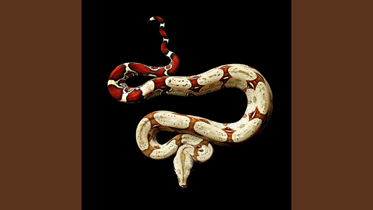 DOUBLE BAD! - YouTube