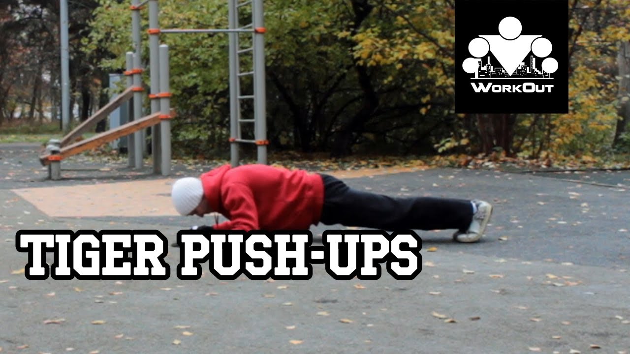 Tiger Push-Ups - YouTube
