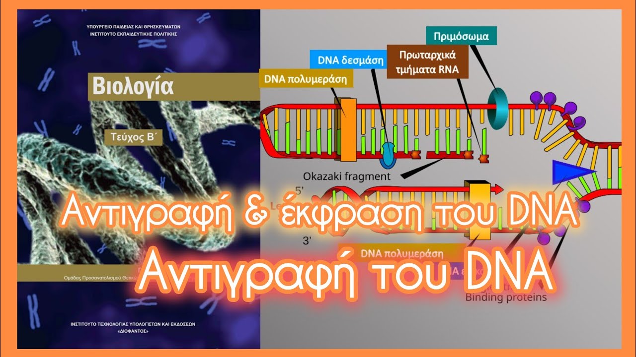Η αντιγραφή του DNA • Αντιγραφή & έκφραση του γενετικού υλικού • Κεφ. 2 ...