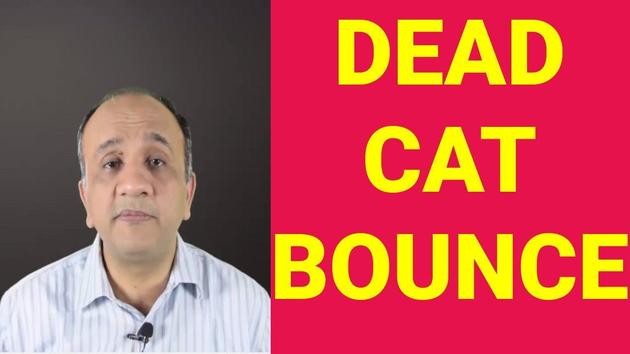 Dead Cat Bounce Rally - Nifty Technical Analysis 20 July 2019 (Hindi ...