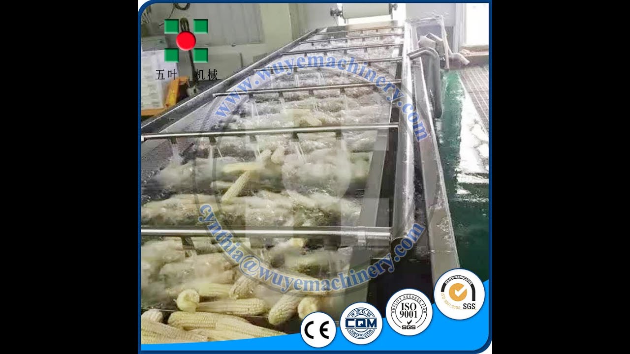 sweet corn cob processing line machine/steaming cooking cooling ...