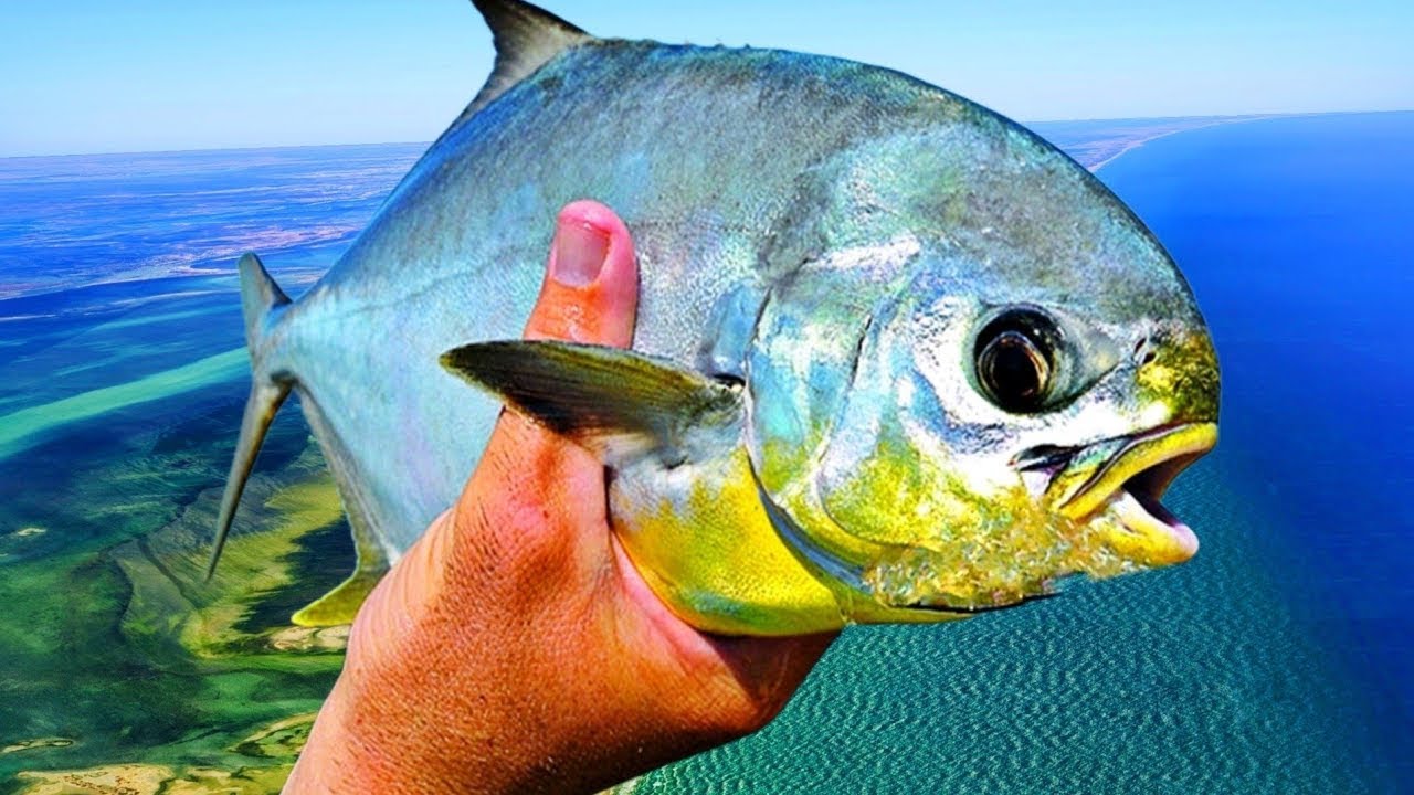Pompano Fishing On A Remote Texas Island!!! - YouTube