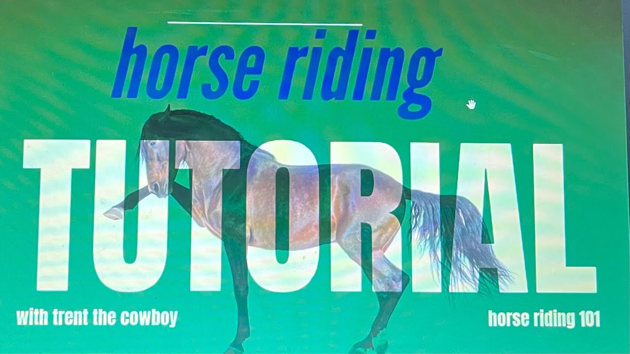 horse riding tutorial - YouTube